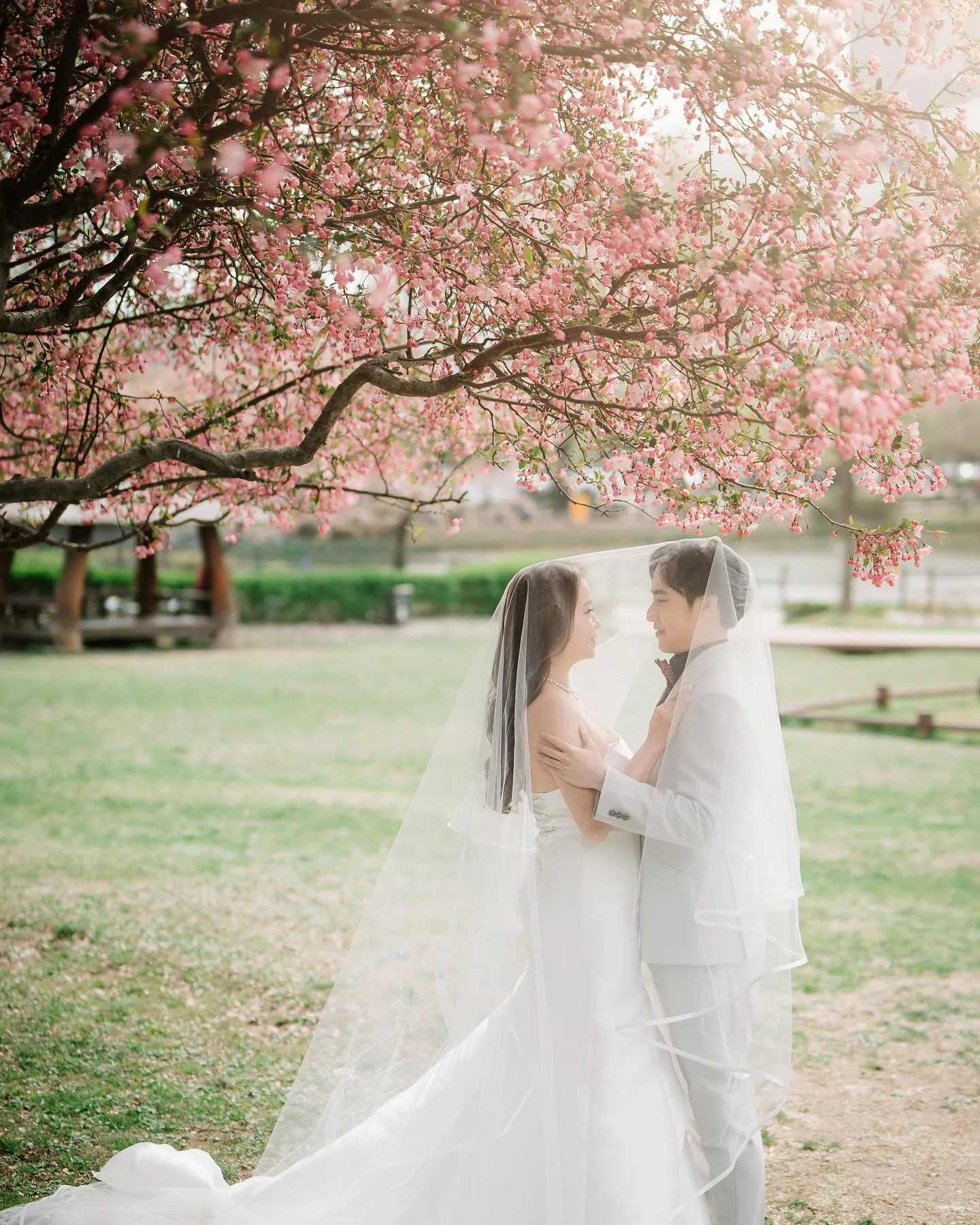 15 Pre Wedding Ideas Unique Ways to Celebrate Before Your Big Day